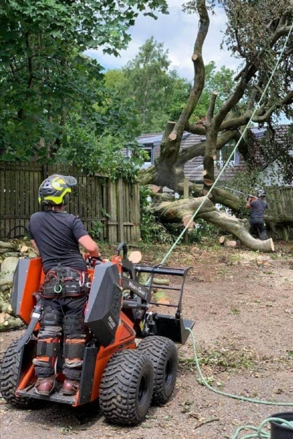Arboricultural Services | Arborists | Hamilton, East Kilbride, Glasgow ...